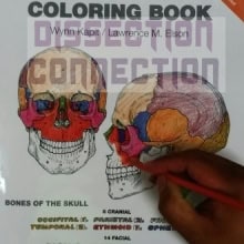 Dissection Connection