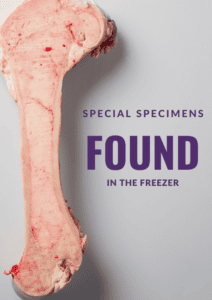 Home - Dissection Connection